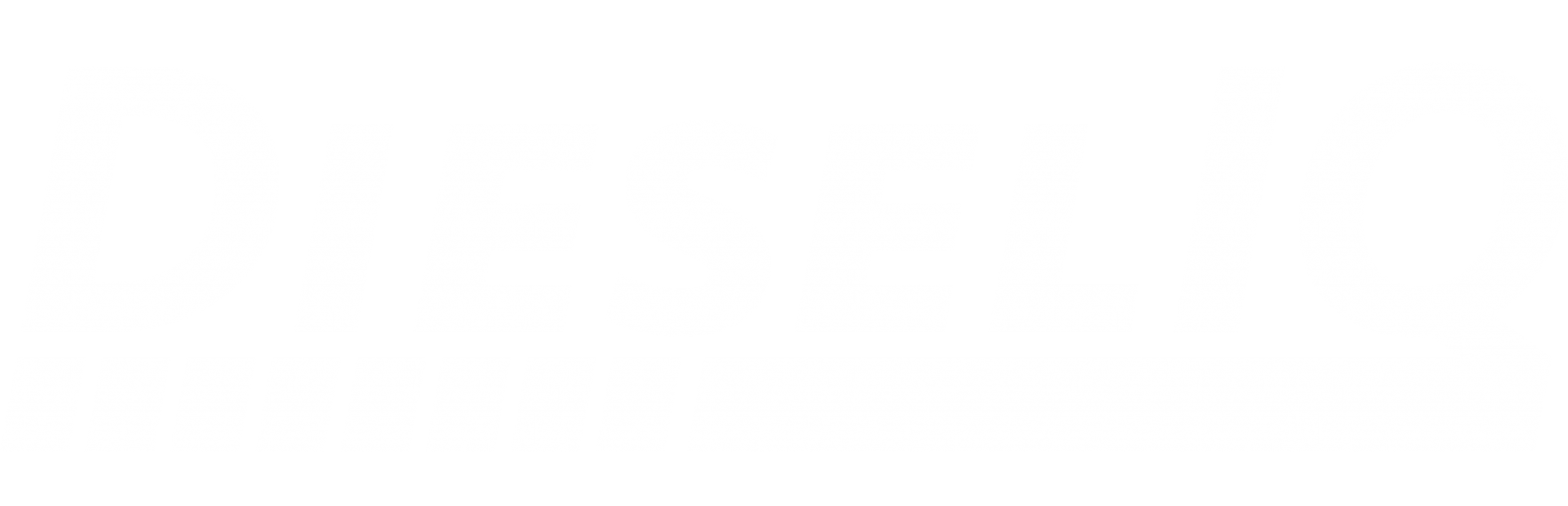 Cummins Diesel Adjust Idle Speed Cummins Diesel Engine Service